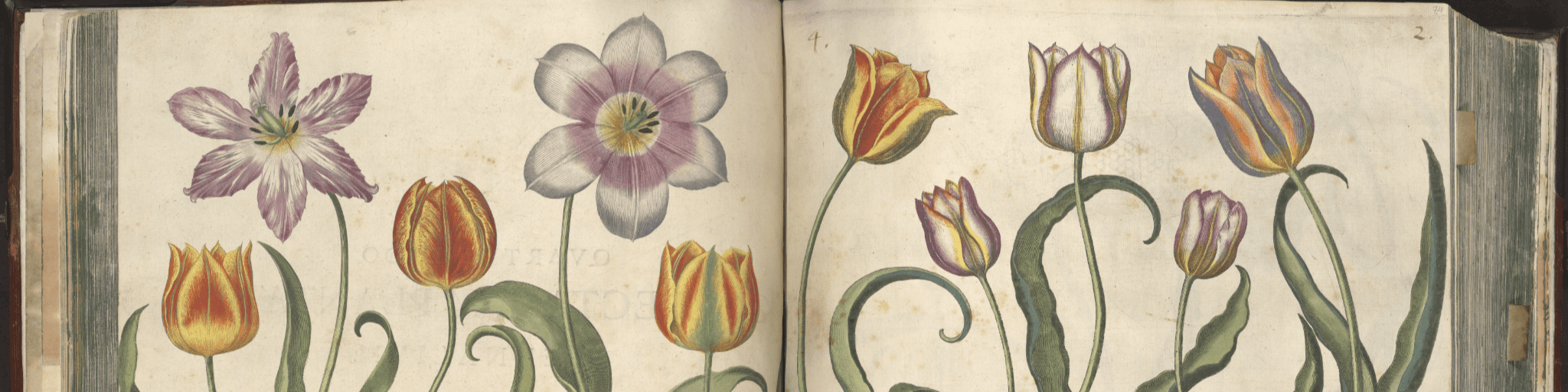 University Library of Erlangen-Nürnberg – Library of Friedrich ...